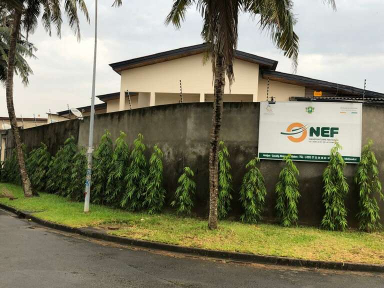 Présentation – ONEF